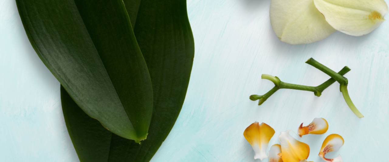 Piperonal (Heliotropin) - The Anthea Group